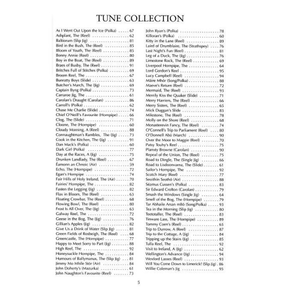 Whistle | A complete guide to learning the Irish Tin Whistle